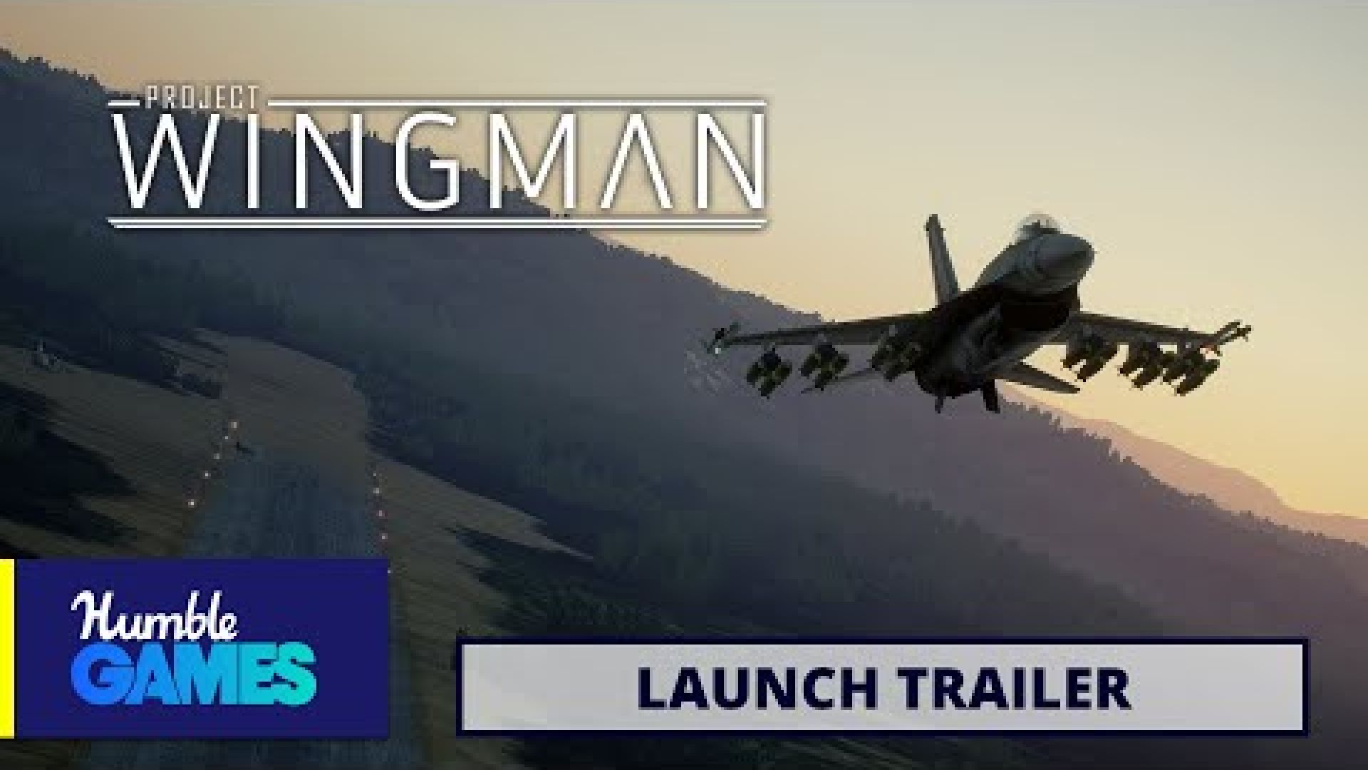 Megjelent a Project Wingman